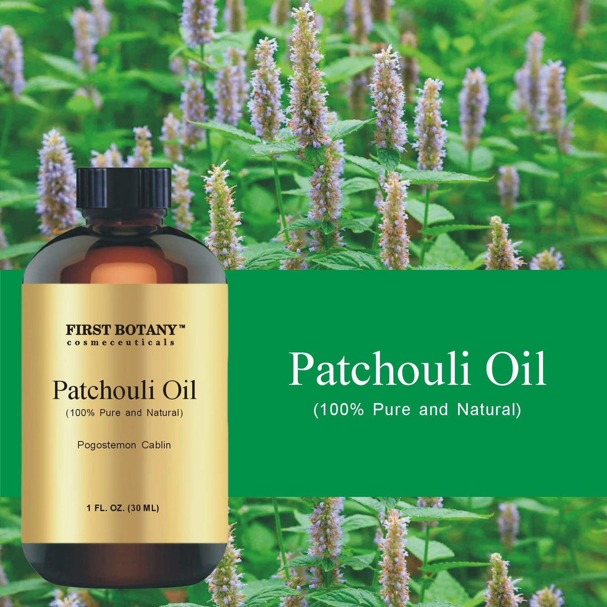100% Pure Patchouli Essential Oil - Premium Patchouli Oil for Aromathe – First Botany