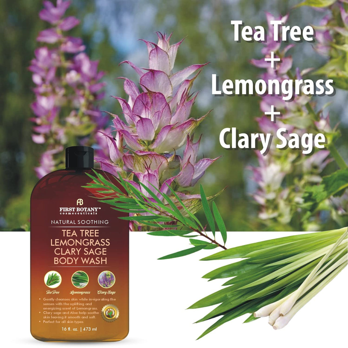 ALL Natural Body Wash - Fights Body Odor, Athlete’s Foot, Jock Itch, N ...